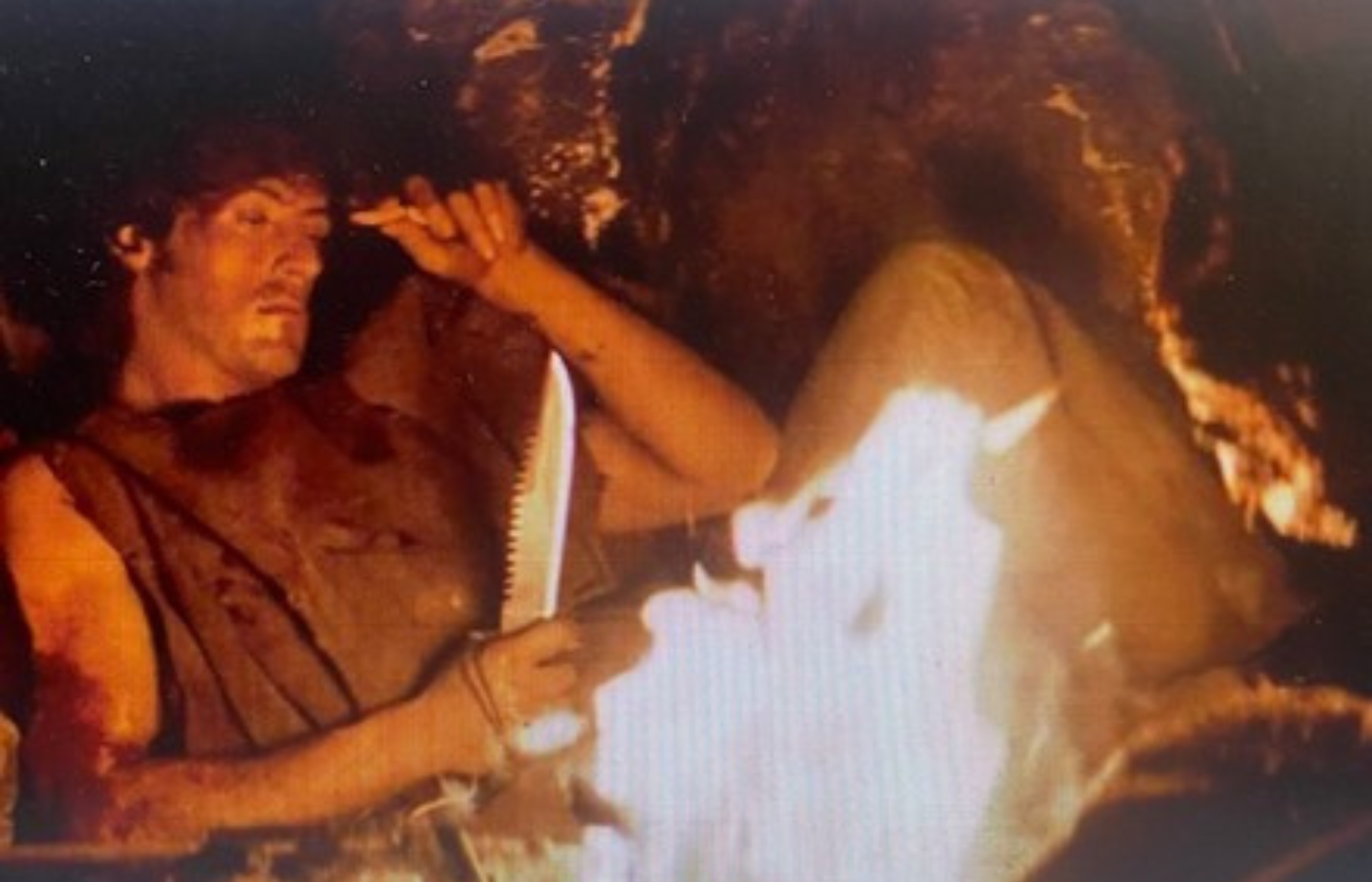 BBQ HOLLYWOOD - Rhode Island BBQ News